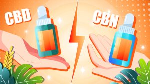 CBD vs. CBN: Key Differences, Benefits, & Side Effects - CFAH