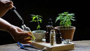 How to Use CBD Oil Effectively? Taking Hemp Products The Right Way