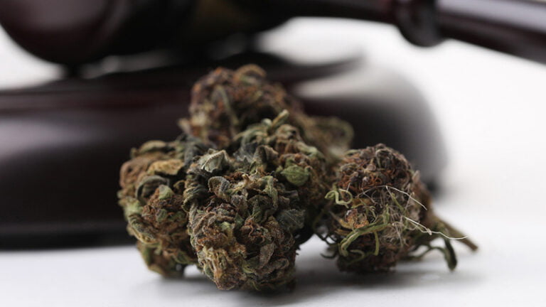 HHC vs. Delta 8 THC vs. Delta 9 THC - CFAH