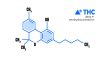 Delta-8 THC vs. Delta-9 THC: What’s the Difference? - CFAH