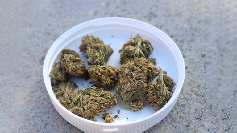 Is Marijuana Legal in Puerto Rico? (2023 Update)