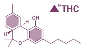 What is Delta-9 THC? - CFAH