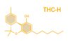 What Is THC-H? - CFAH